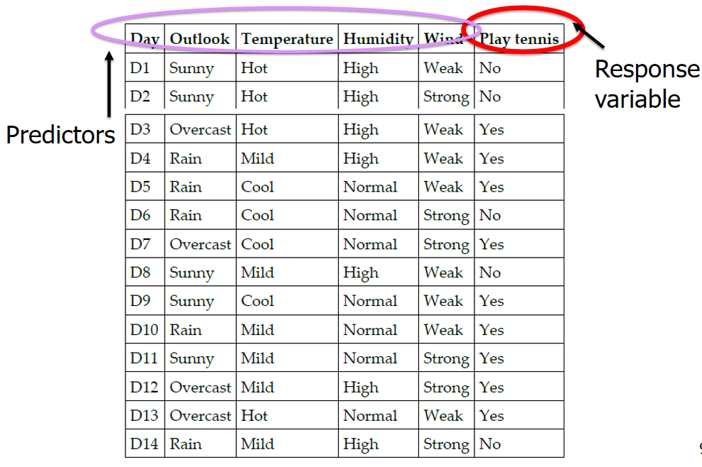 Solved In this dataset compute the entropy, information gain | Chegg.com
