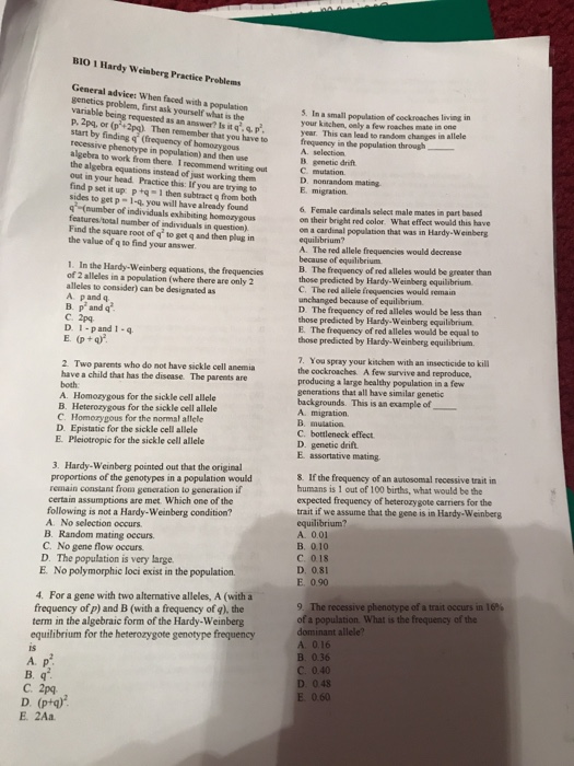 Solved BIO 1 Hardy Weinberg Practice Problem General advice: | Chegg.com