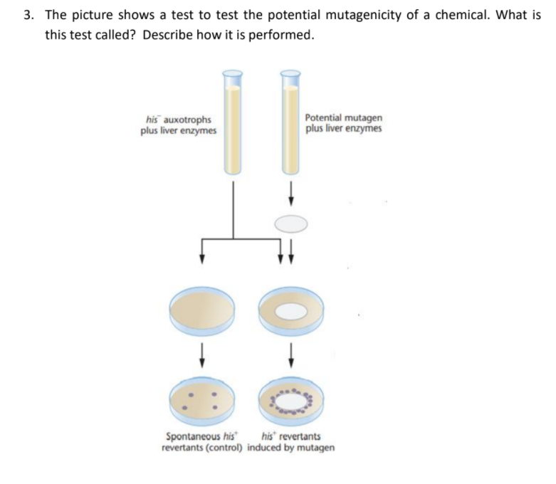 Solved 3. The picture shows a test to test the potential | Chegg.com