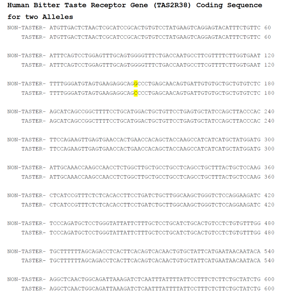 Solved Human Bitter Taste Receptor Gene (TAS2R38) Coding | Chegg.com