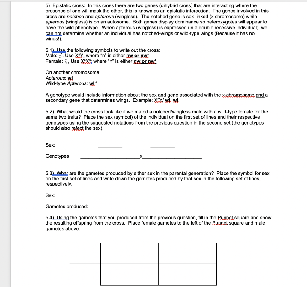 Solved 5) Epistatic cross: In this cross there are two genes | Chegg.com