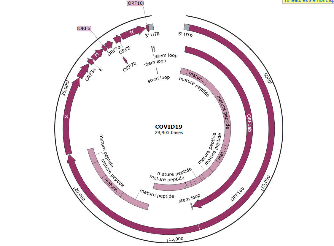 Solved Design forward and reverse primers for the PCR | Chegg.com