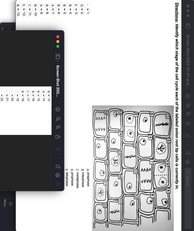 Solved 1. D. 2. E. 3. B. 4. B. 5. B. 6. A. 7. B. 8. | Chegg.com
