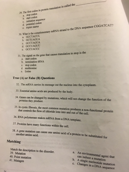 Solved 29. The first codon in protein translation is called | Chegg.com