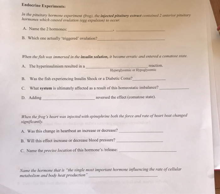 Solved Endocrine Experiments: In the pituitary hormone | Chegg.com
