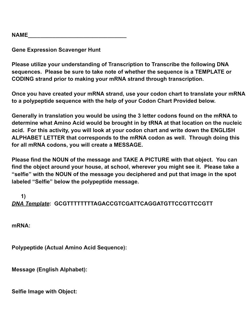 Solved Gene Expression Scavenger Hunt Please utilize your | Chegg.com