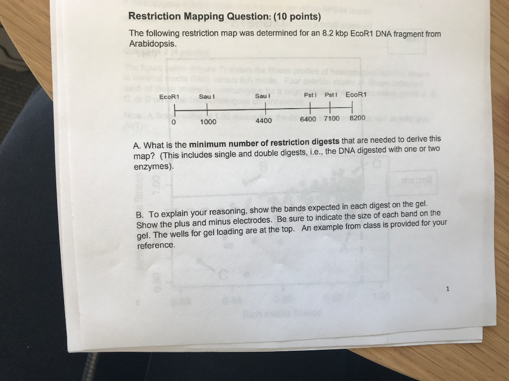Solved Restriction Mapping Question: (10 points) The | Chegg.com
