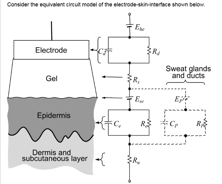 Solved Consider the equivalent circuit model of the | Chegg.com