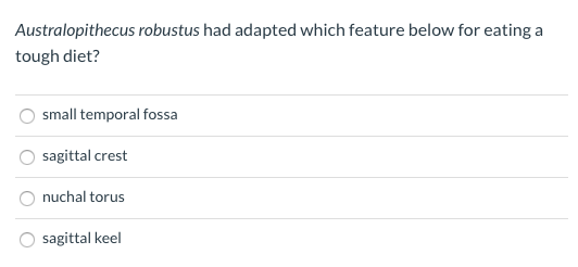 Solved Australopithecus robustus had adapted which feature | Chegg.com