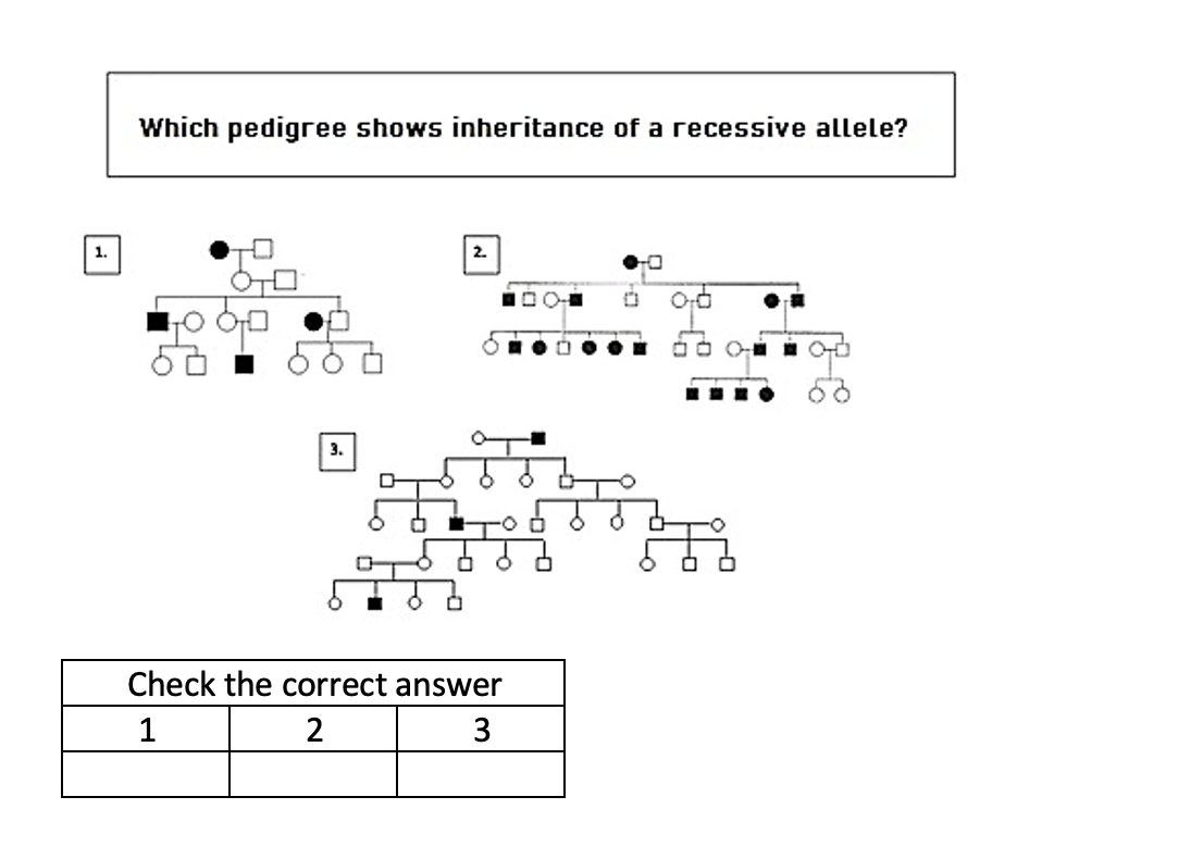 Solved Key to pedigree Key to alleles charts D= dominant | Chegg.com