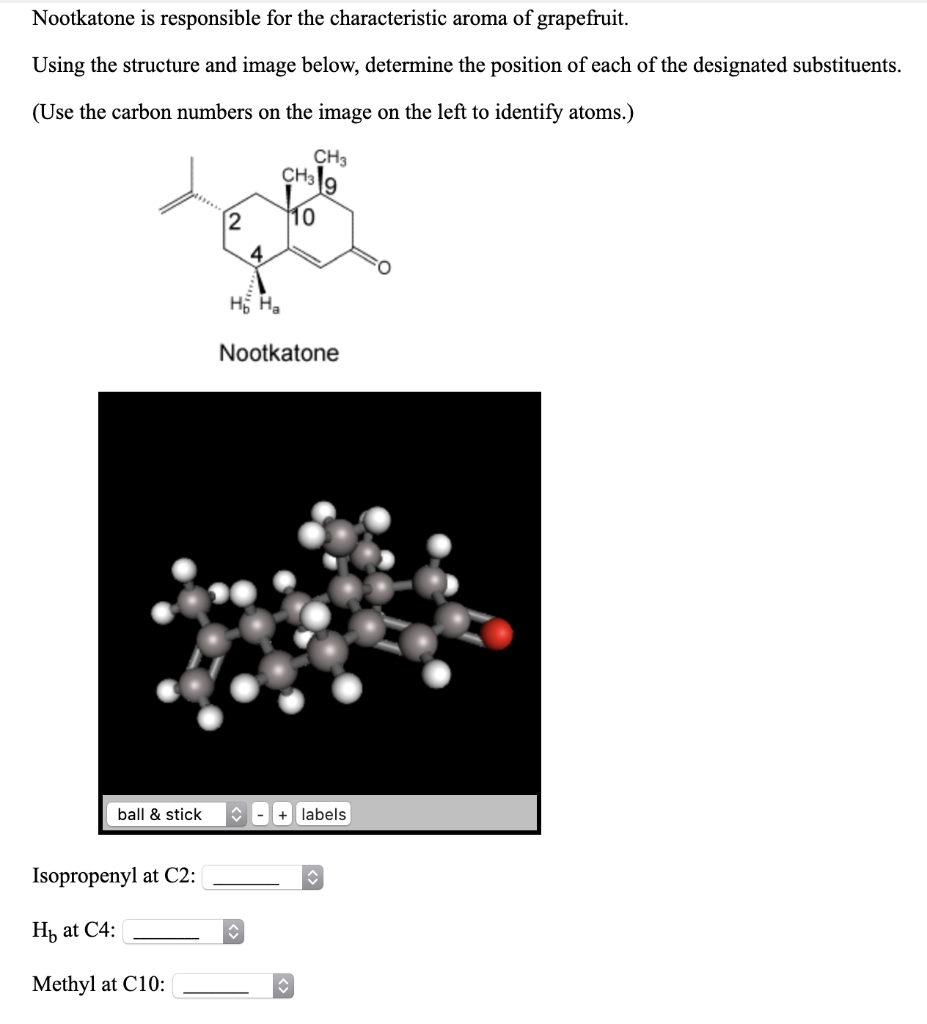 Solved Nootkatone is responsible for the characteristic | Chegg.com
