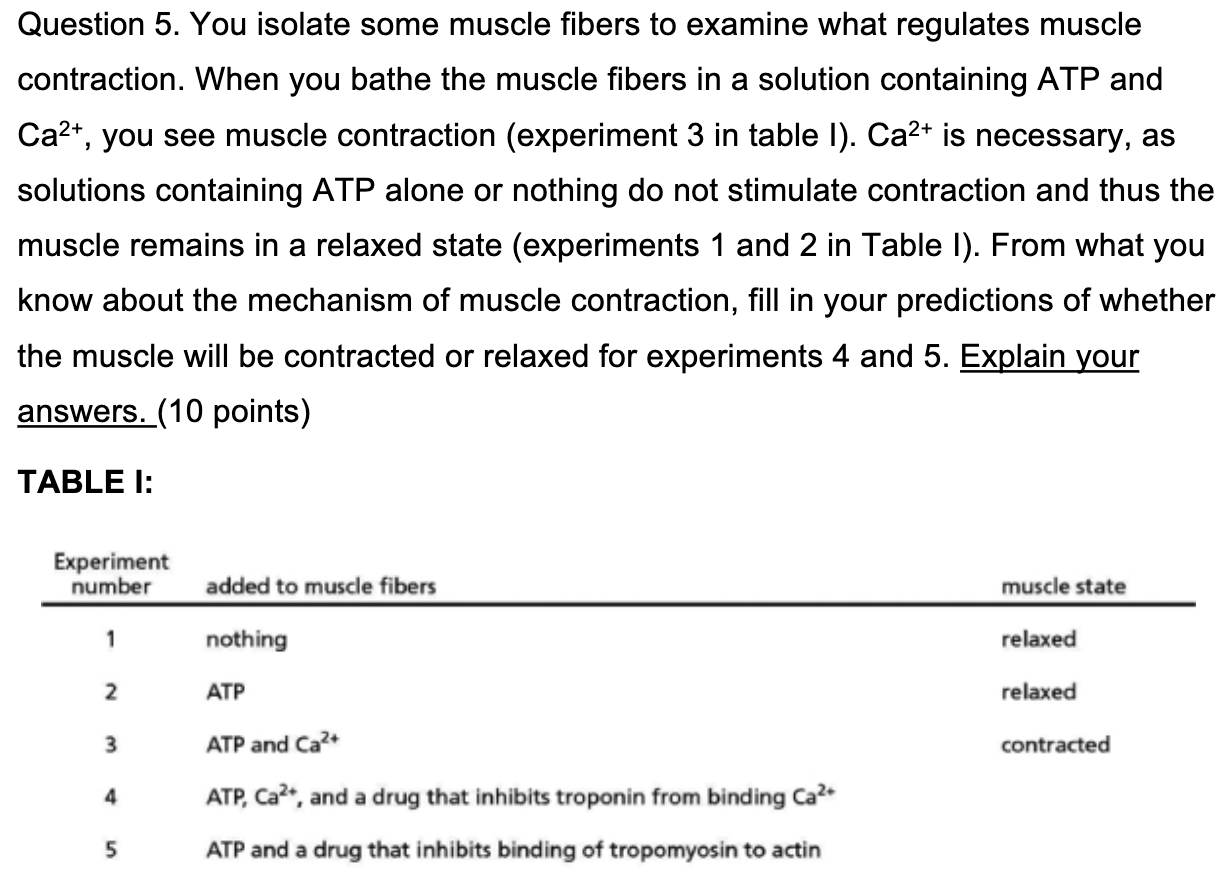 Solved Question 5. You isolate some muscle fibers to examine | Chegg.com
