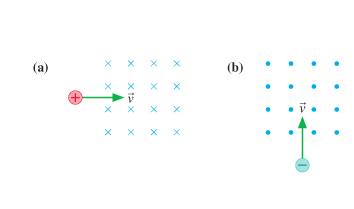 Solved What is the initial direction of deflection for the | Chegg.com