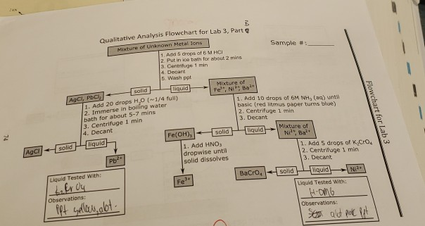 Solved Qualitative Analysis Flowchart for Lab 3, Part | Chegg.com