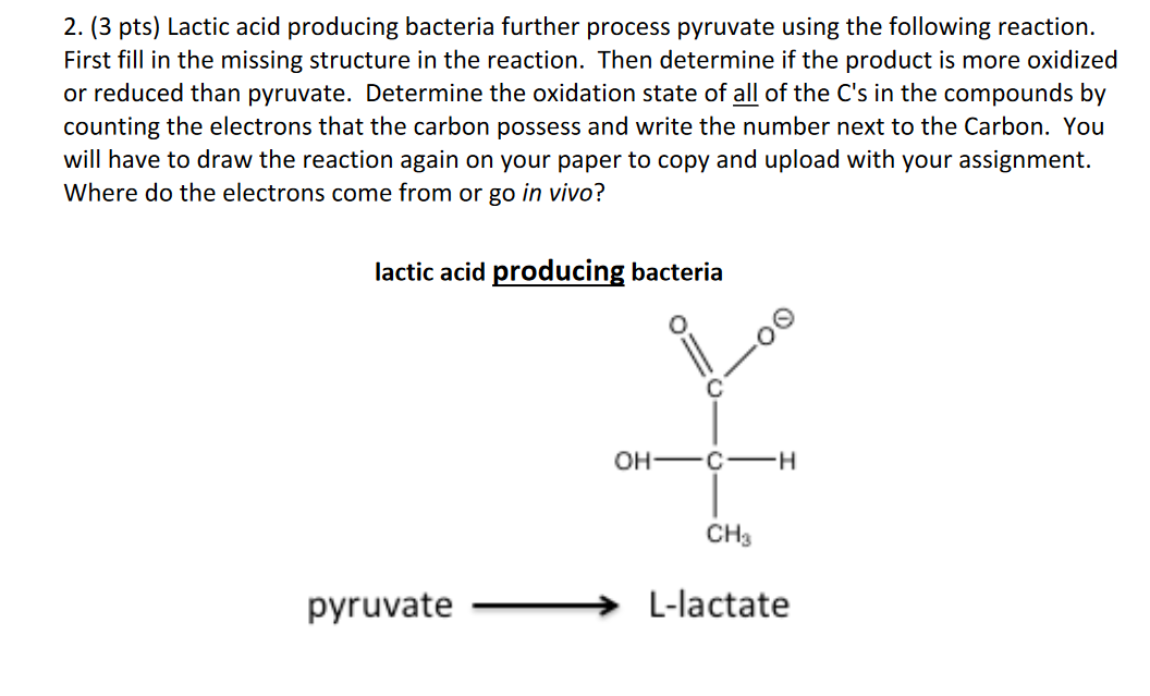 Solved 2. ( 3 pts) Lactic acid producing bacteria further | Chegg.com