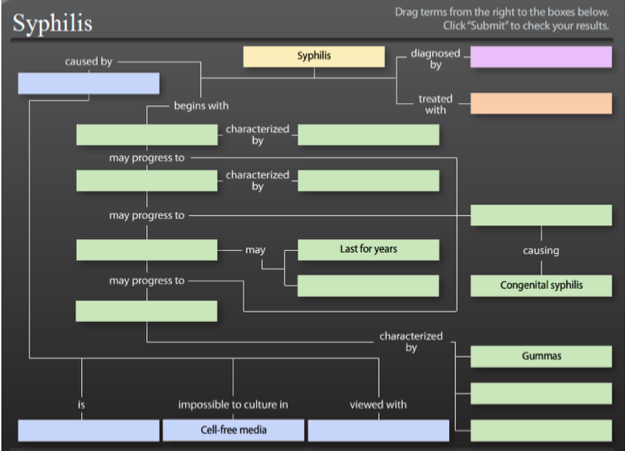 Syphilis Drag terms from the right to the boxes | Chegg.com