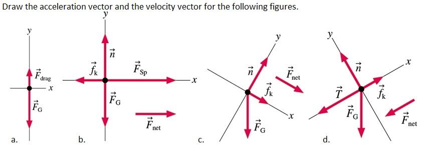 Solved Draw the acceleration vector and the velocity vector | Chegg.com