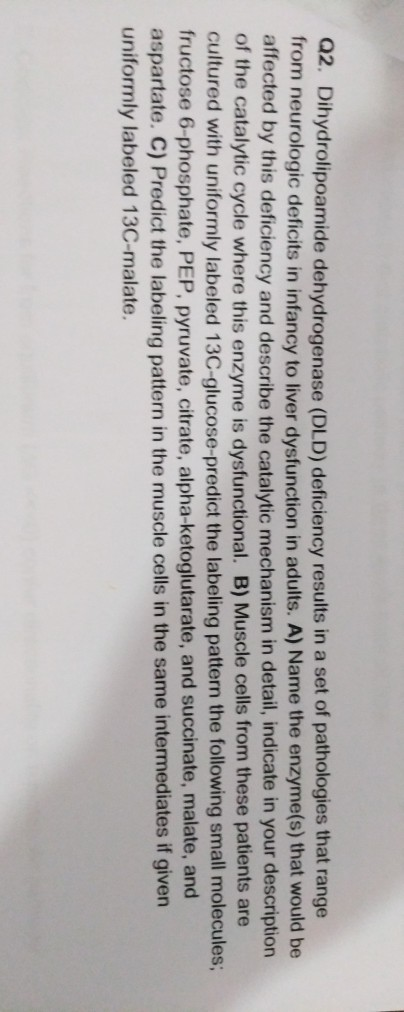 2. Dihydrolipoamide dehydrogenase (DLD) deficiency | Chegg.com