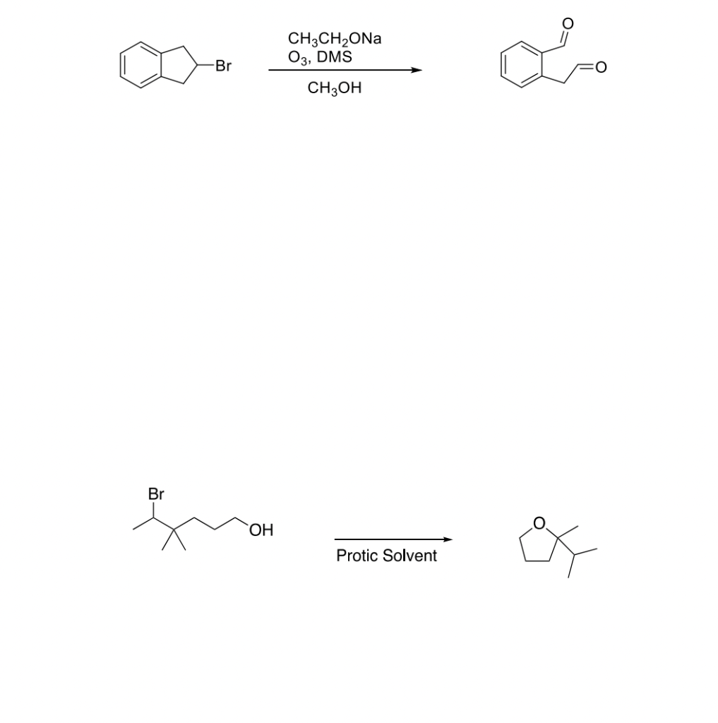 Solved Protic Solvent | Chegg.com