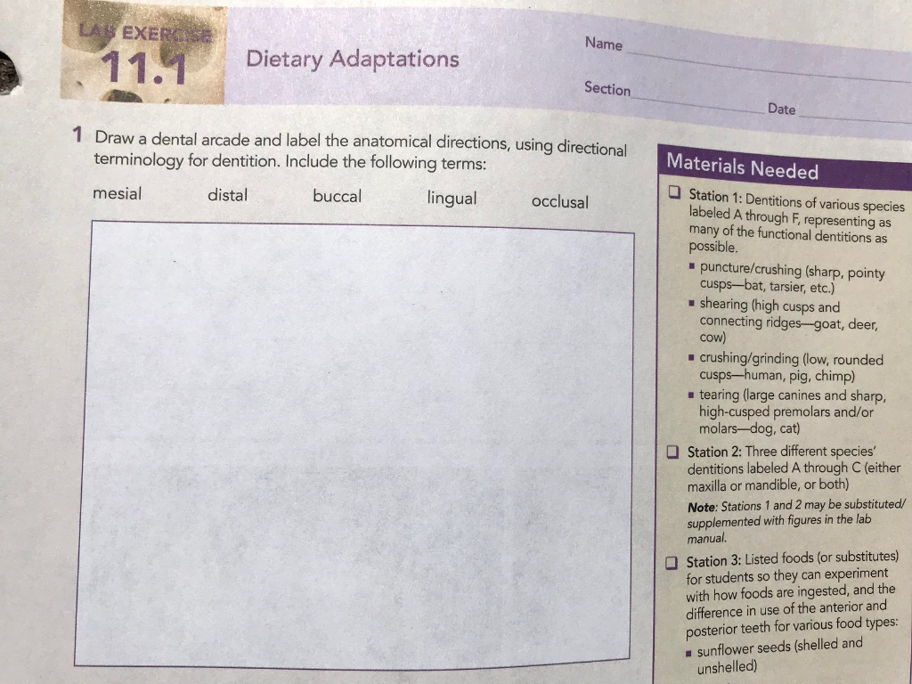 Solved Las Exercse Name 111 Dietary Adaptations Section