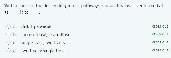 Solved With respect to the descending motor pathways, | Chegg.com
