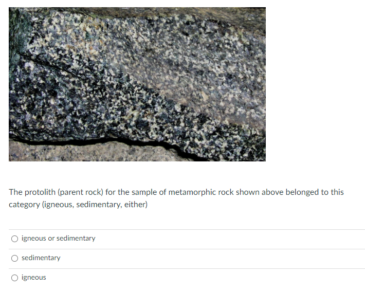 Solved The protolith (parent rock) for the sample of | Chegg.com