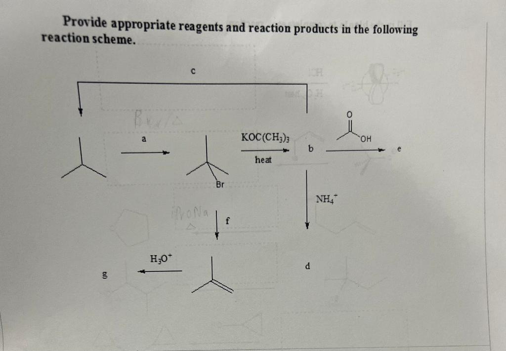 Solved Provide appropriate reagents and reaction products in | Chegg.com