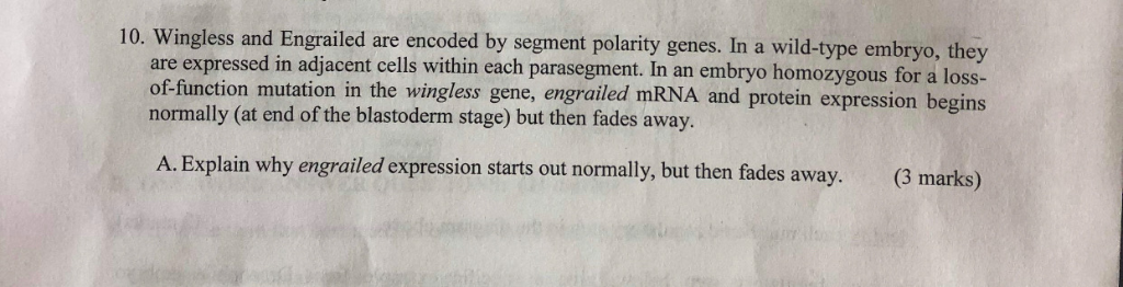 Solved 10. Wingless and Engrailed are encoded by segment | Chegg.com