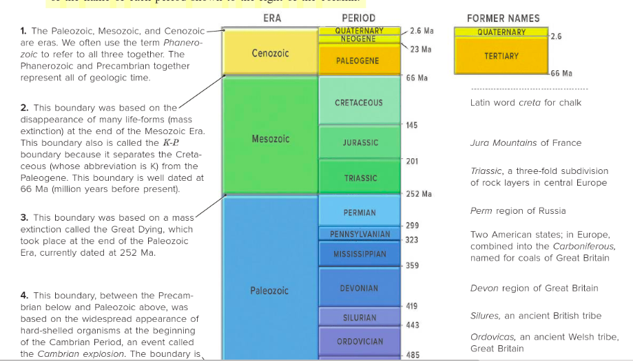 Solved ESC1000C Geologic Time Scale Concept Sketch For this | Chegg.com