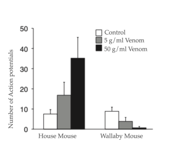 Solved What can you deduce about action potentials and the | Chegg.com