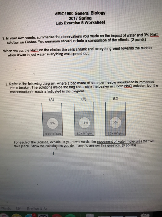 Solved In your own words, summarize the observations you | Chegg.com