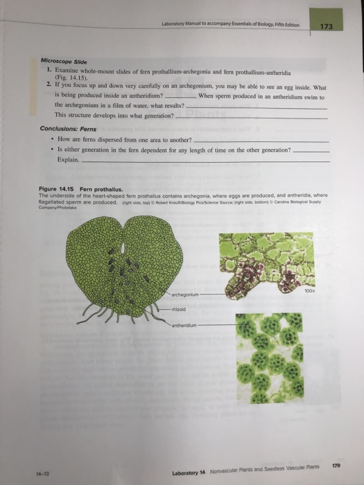 Solved Contemporary Biological Problems Lab 14.1 The | Chegg.com
