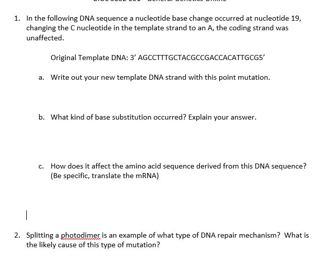 Solved 1. In the following DNA sequence a nucleotide base | Chegg.com