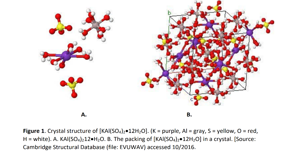 Solved Figure 1 on page 2 shows a model (i.e. a type of | Chegg.com