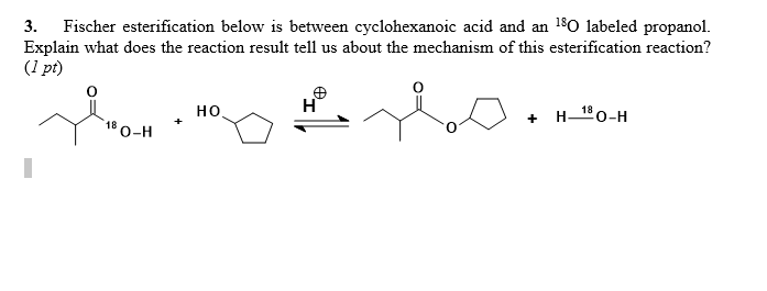Solved 3. Fischer esterification below is between | Chegg.com