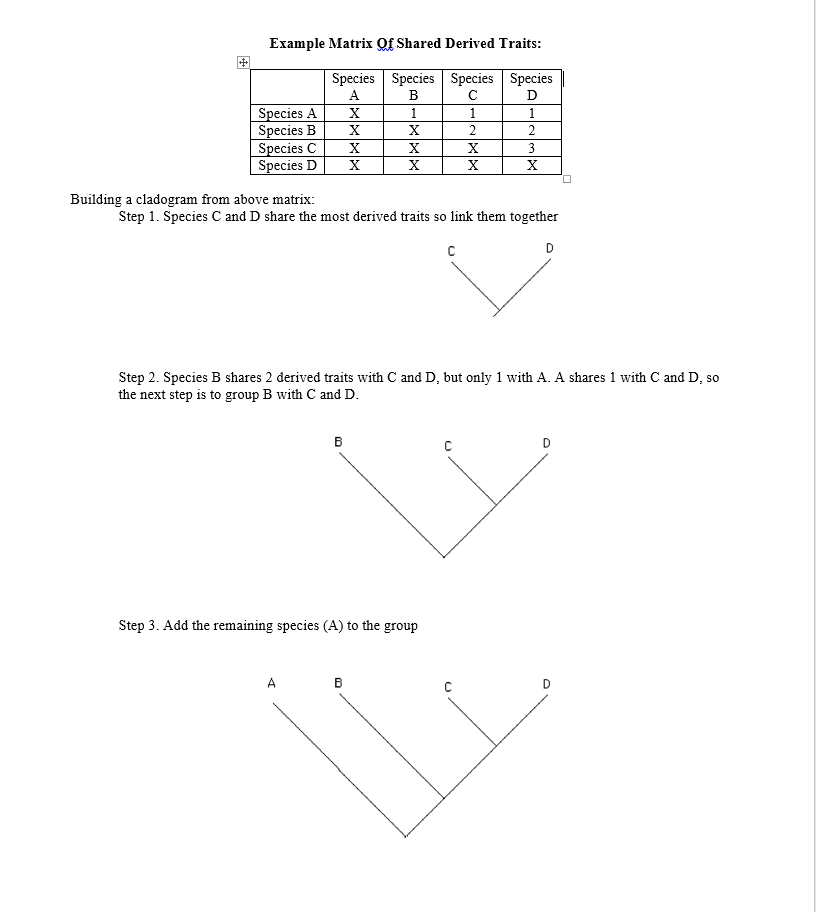 Solved Example Matrix Of Shared Derived Traits: # Species A | Chegg.com