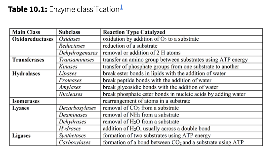 Solved Table 10.1: Enzyme classification- Main Class | Chegg.com