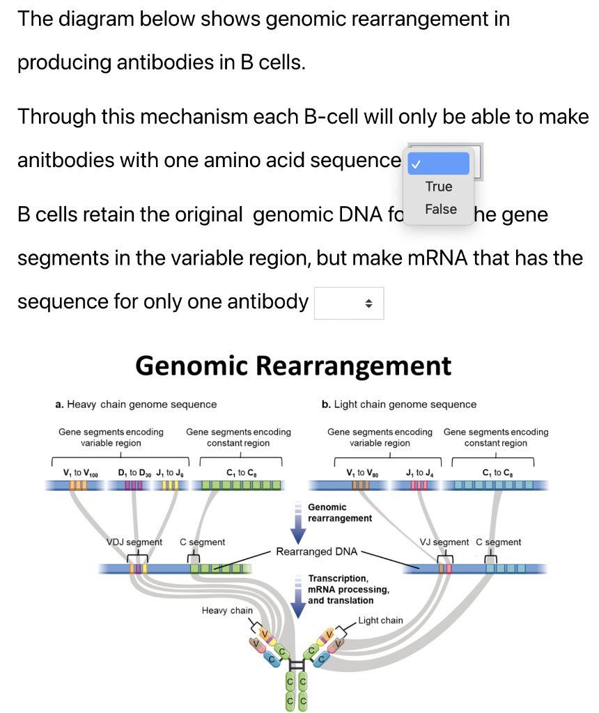Solved The diagram below shows genomic rearrangement in | Chegg.com