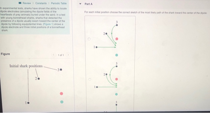 Solved l Review1 Constants 1 Periodic Table PartA n | Chegg.com Solved l Review1 Constants 1 Periodic Table PartA n | Chegg.com