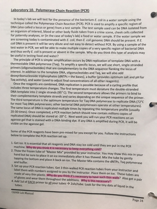 Solved Laboratory 10. Polymerase Chain Reaction (PCR In | Chegg.com