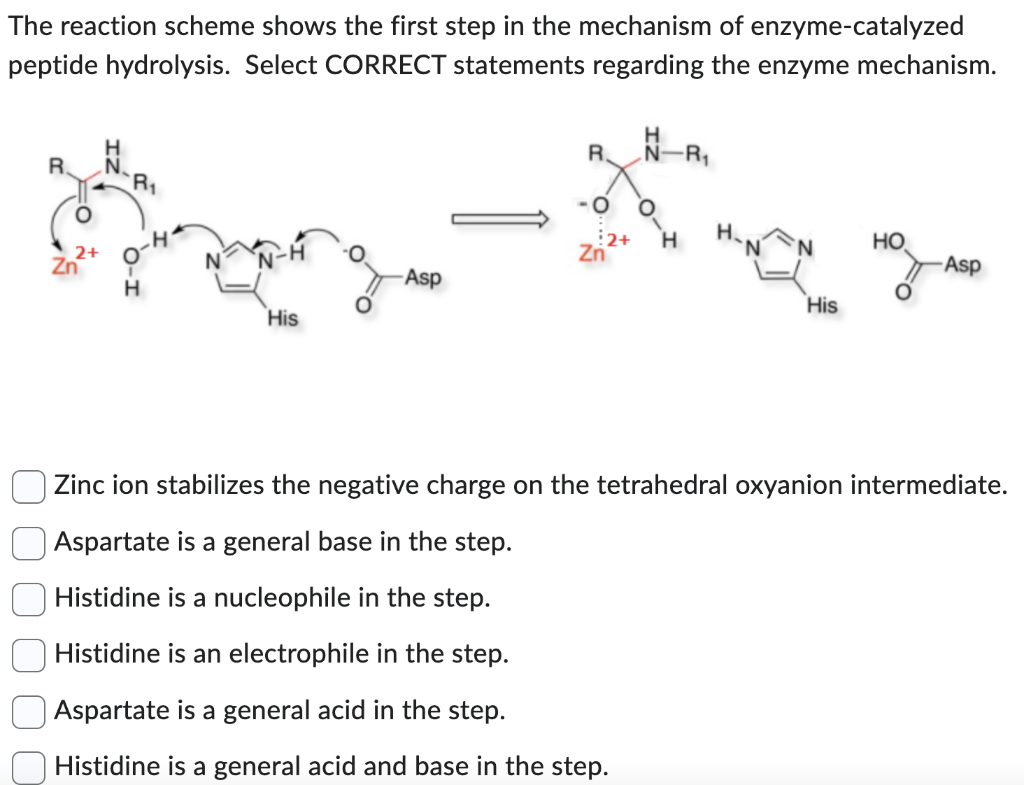 Solved The reaction scheme shows the first step in the | Chegg.com