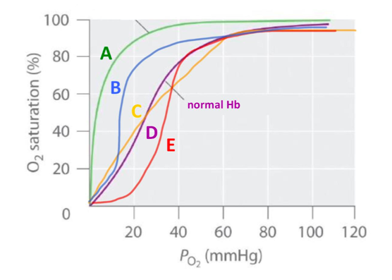 Solved Below are multiple oxygen binding affinity curves | Chegg.com