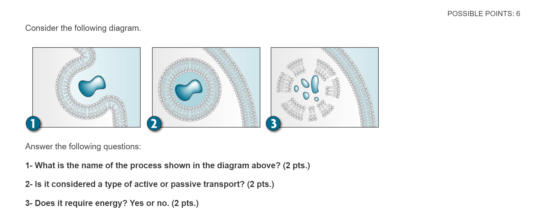 Solved POSSIBLE POINTS: 6 Consider the following diagram. | Chegg.com
