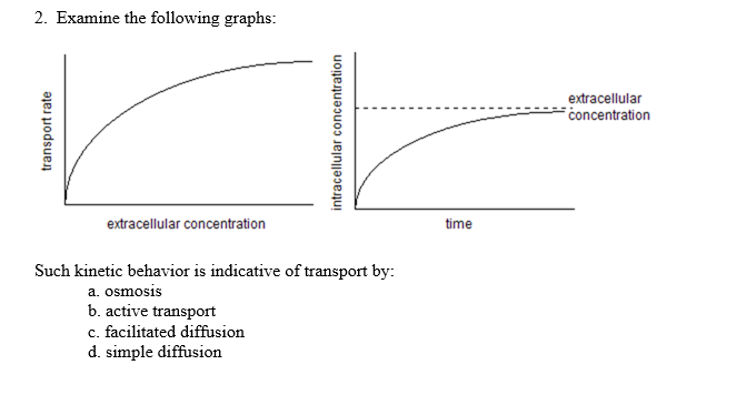 Solved 1. transport rate extracellular concentration While | Chegg.com