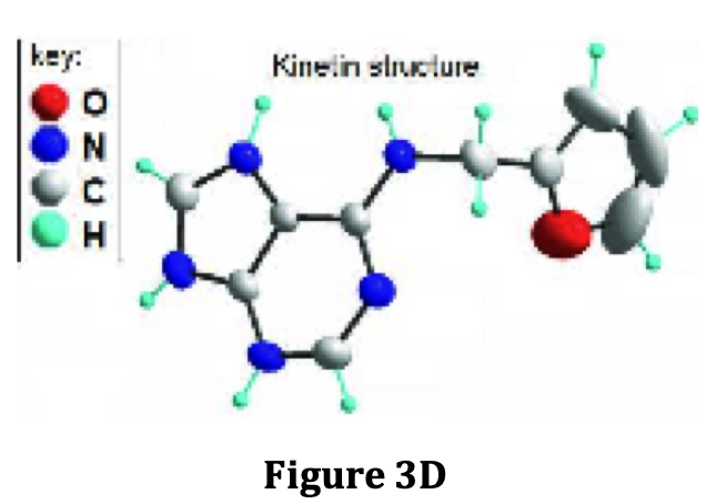 Solved The structure of Kinetin is shown tothe right, in | Chegg.com