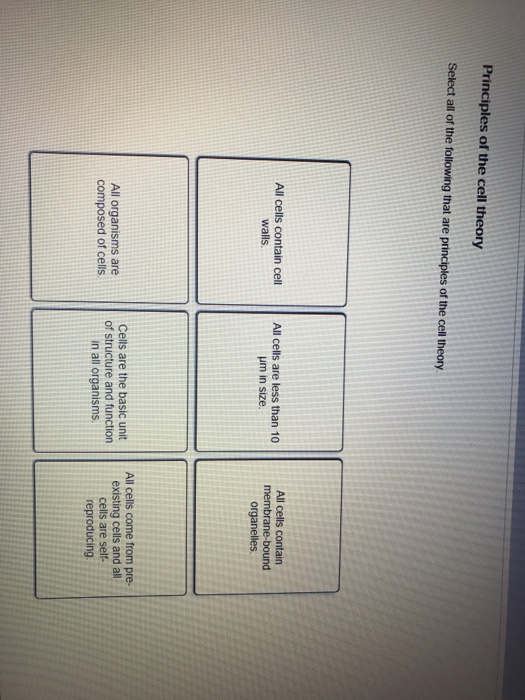 Solved Principles of the cell theory Select all of the | Chegg.com