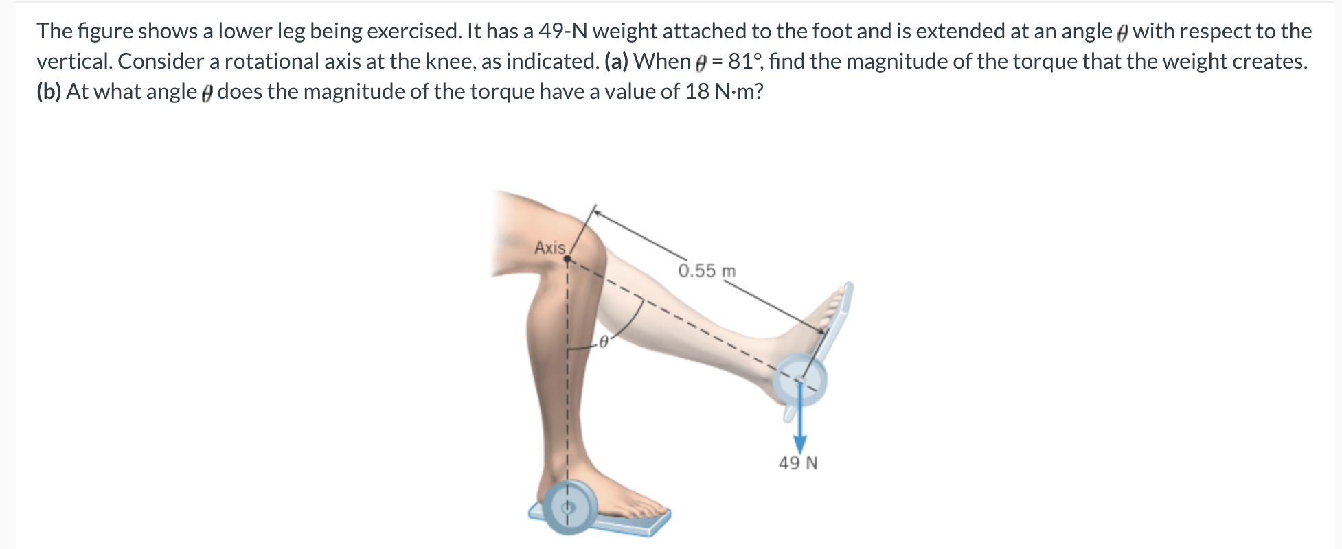 Solved The figure shows a lower leg being exercised. It has | Chegg.com