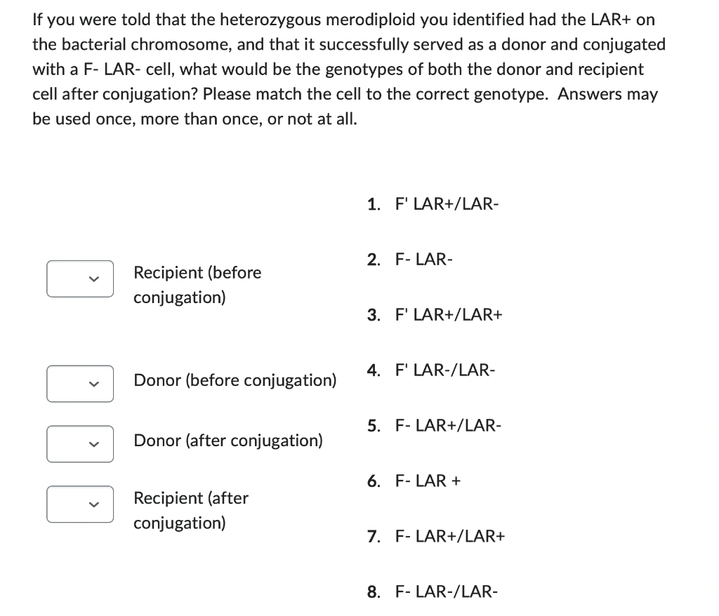 Solved If you were told that the heterozygous merodiploid | Chegg.com