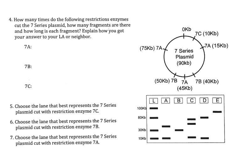 Solved OKb 4. How many times do the following restrictions | Chegg.com