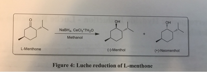 Solved L-Menth one OH NaBH4. CeCI3 7H20 Methanol Menthol | Chegg.com